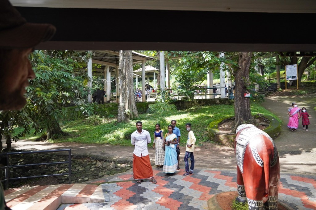 Encountering Elephants at Konni Reserve in Kerala – world travel with a ...